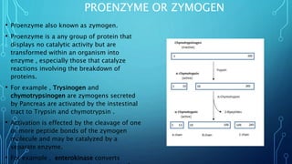 Presentation (2) (1) | PPT