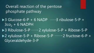 Pentose Phosphate Pathway | PPT