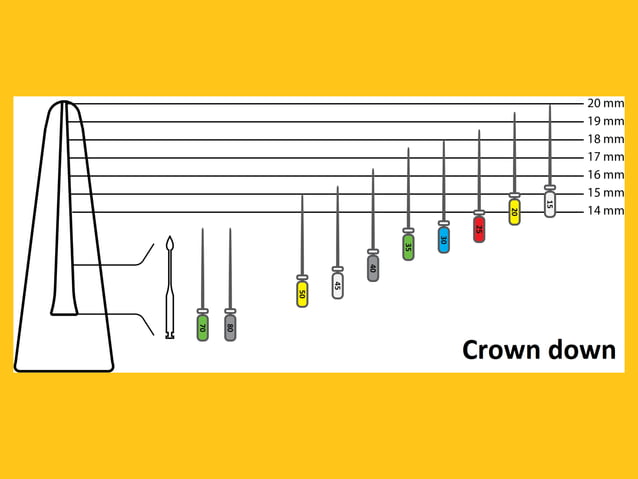 Presentation includes bio prin of tooth prep.pdf