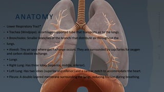 Ashma patient case study lung infection | PDF