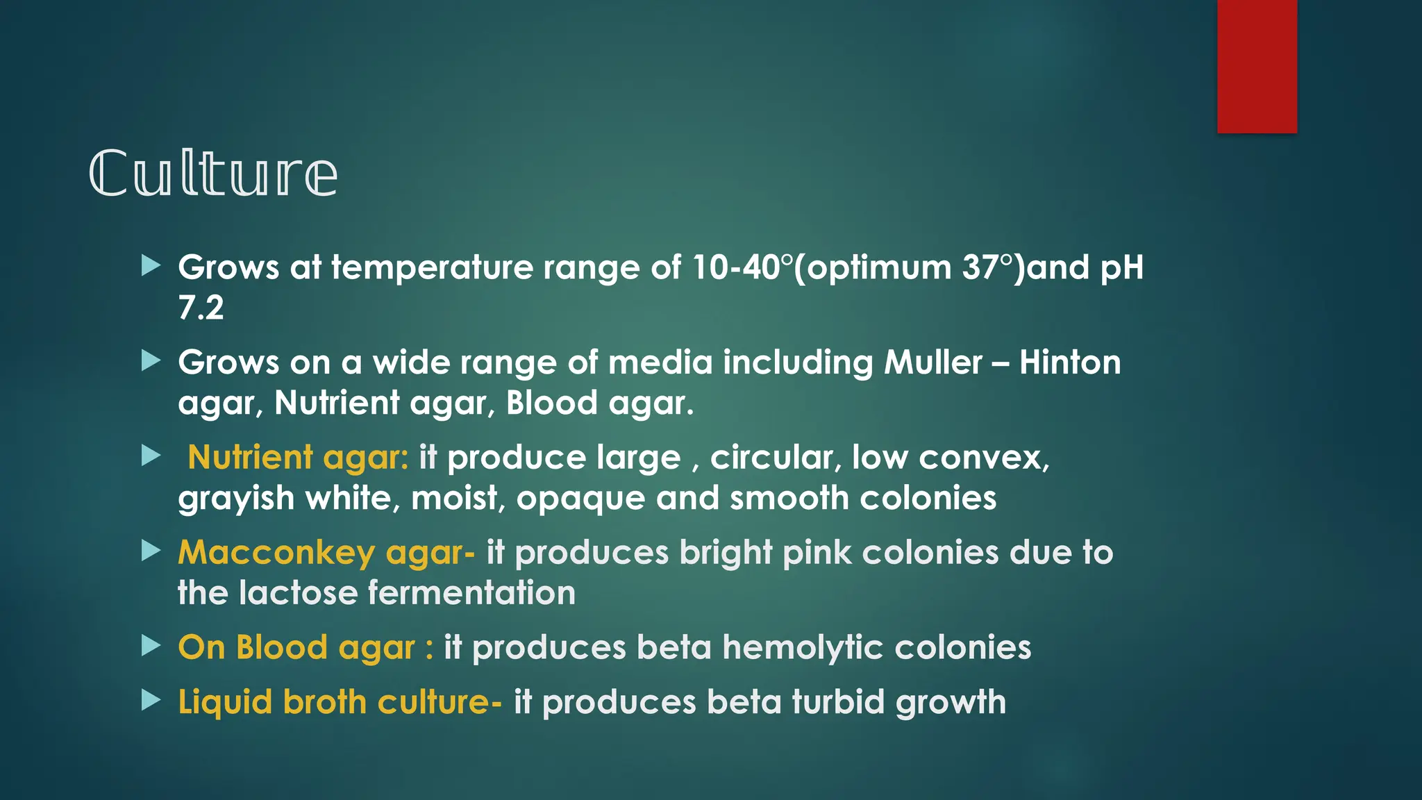 Medical Bacteriology - Escherichia coli-E. Coli | PPT