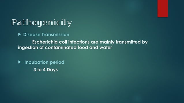 Medical Bacteriology - Escherichia coli-E. Coli | PPT