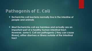 Medical Bacteriology - Escherichia coli-E. Coli | PPT