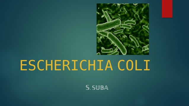 Medical Bacteriology - Escherichia coli-E. Coli | PPT
