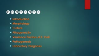 Medical Bacteriology - Escherichia coli-E. Coli | PPT