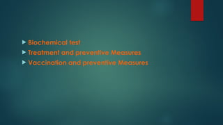 Medical Bacteriology - Escherichia coli-E. Coli | PPT