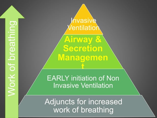 Presentation 212 d gardner_the pyramid of care for als | PPTX