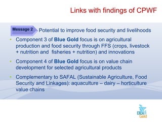 The Blue Gold Program | PDF