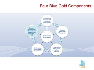 The Blue Gold Program | PDF