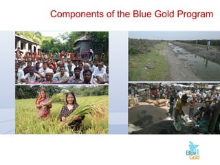 The Blue Gold Program | PDF