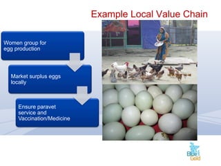 The Blue Gold Program | PPT