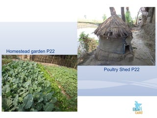 The Blue Gold Program | PPT