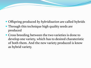 Presentation 2 (2) | PPTX