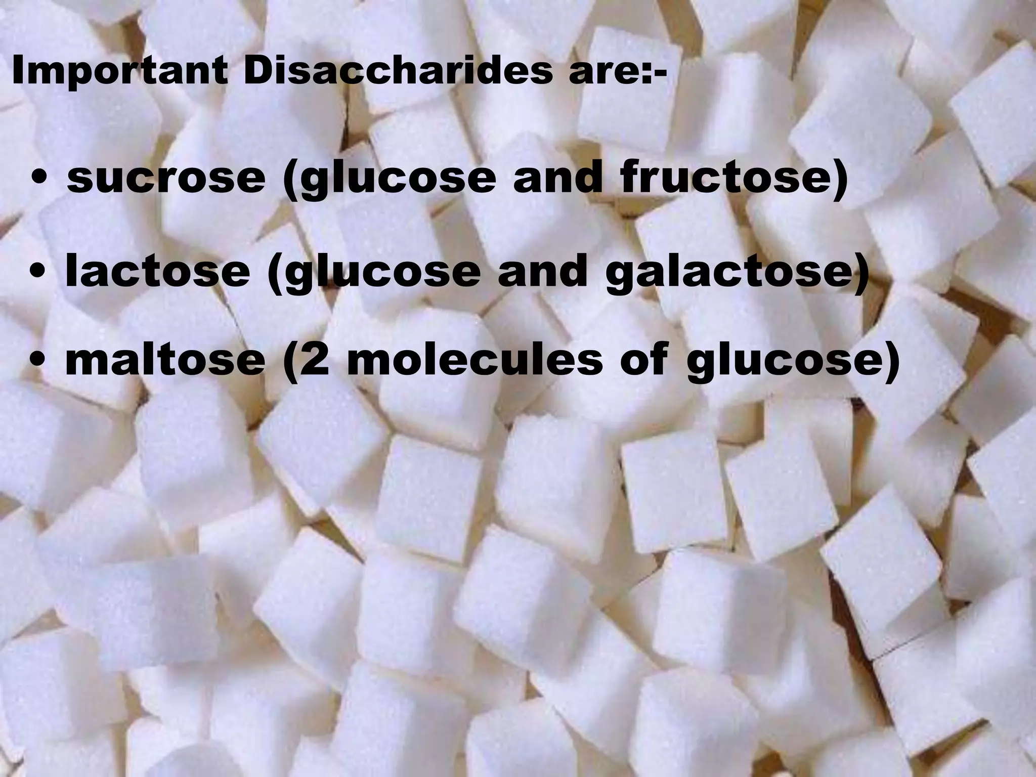 Disaccharides and Polysaccharides | PPTX