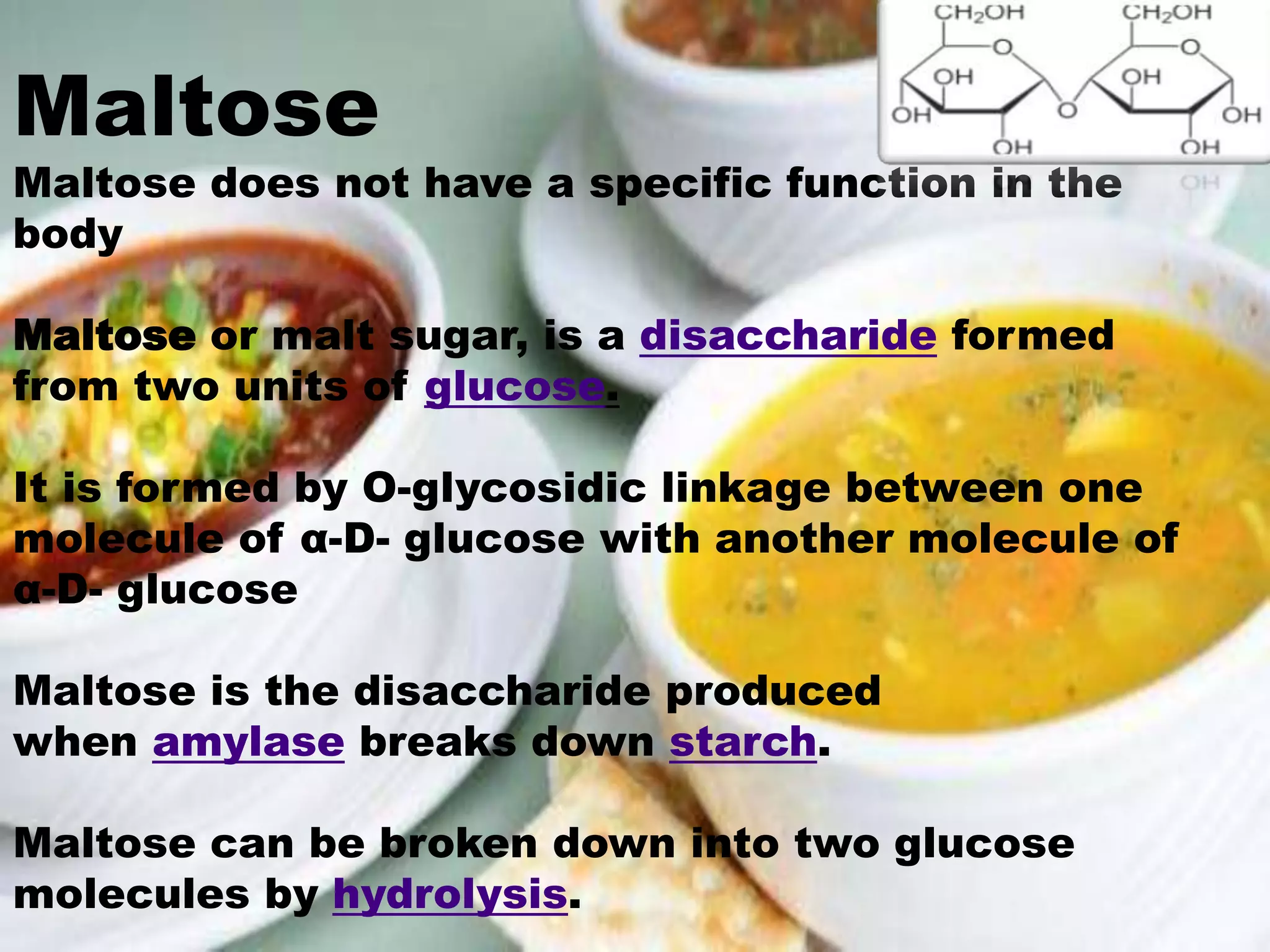 Disaccharides and Polysaccharides | PPTX