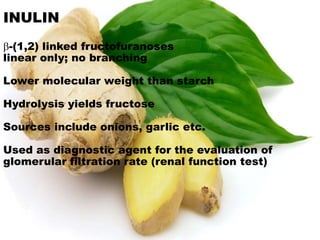 Disaccharides and Polysaccharides | PPTX
