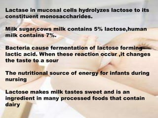 Disaccharides and Polysaccharides | PPTX