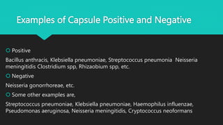 capsule staining | PPTX | Science