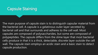capsule staining | PPTX | Science