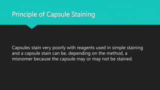 capsule staining | PPTX | Science