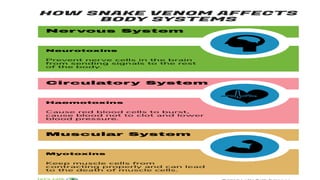 MANAGEMENT OF SNAKE BITE IN ACCIDENT AND EMERGENCY DEPT | PPTX