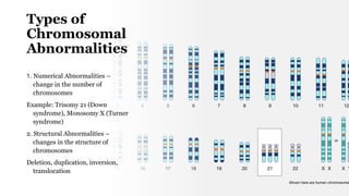 Karyotyping , purpose, significance and method presentation entation | PPTX