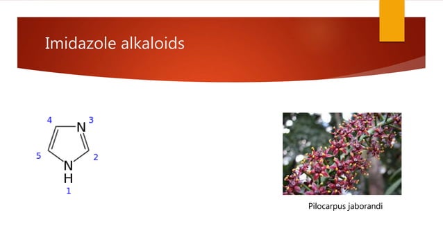 medicinal importance of all types of alkaloids. | PPT