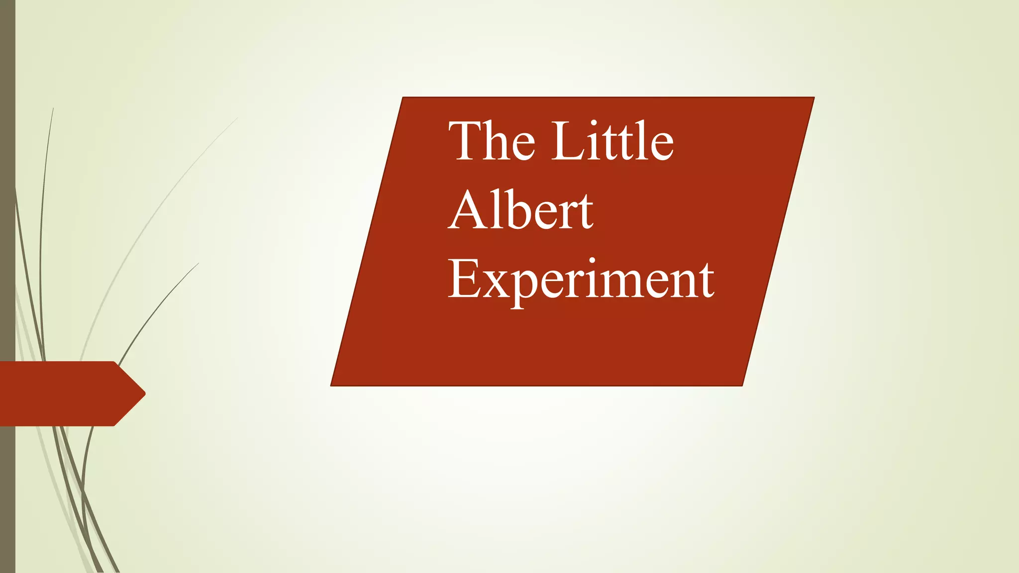 The Little Albert Experiment | PPTX