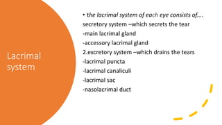 lacrimal gland | PPTX