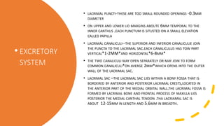 lacrimal gland | PPTX