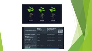 NITROGEN FIXATION SOIL AND AGRICULTURAL MICROBIOLOGY | PPT