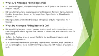 NITROGEN FIXATION SOIL AND AGRICULTURAL MICROBIOLOGY | PPT