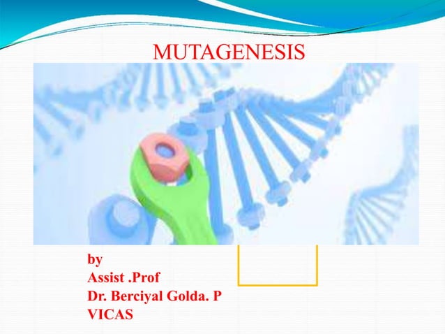 Mutagenesis | PPTX | Genetics | Science