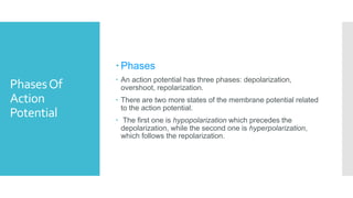 Presentation (23).pptx