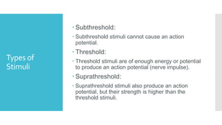 Presentation (23).pptx