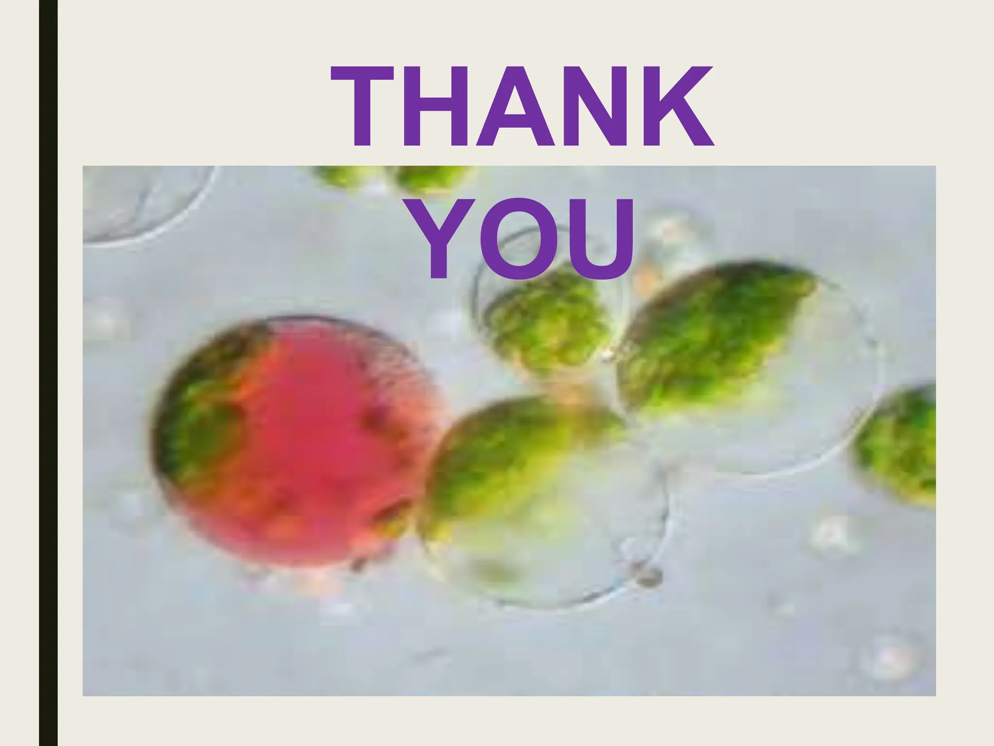 Protoplast fusion and formation of hybrid and cybrid | PPTX