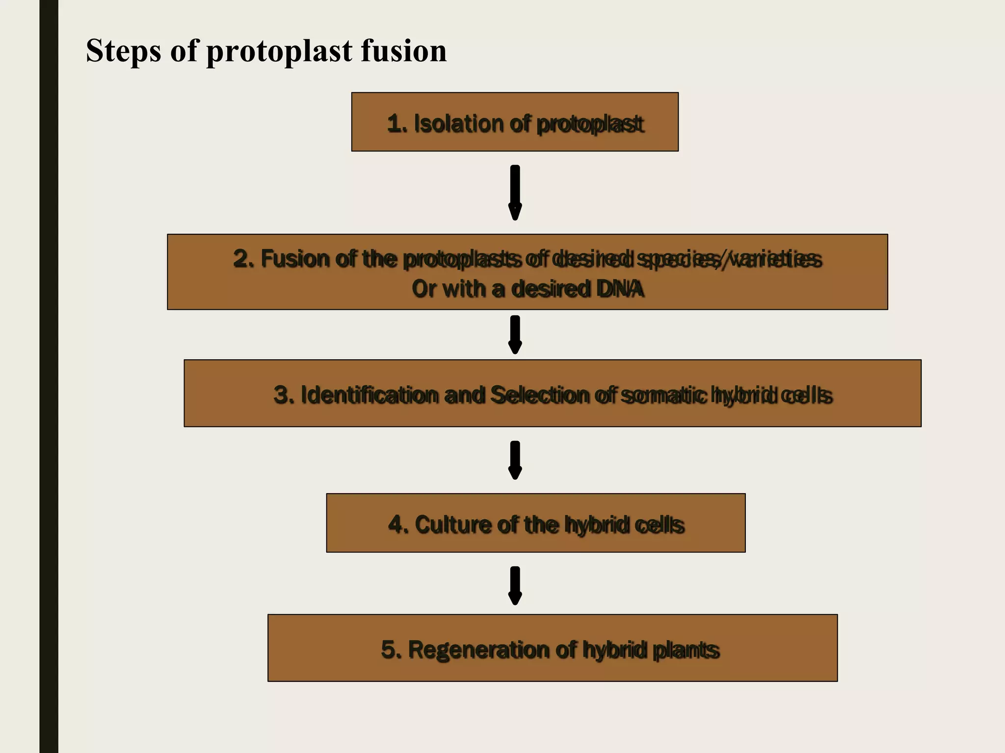 Protoplast fusion | PPTX