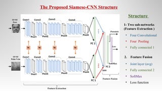 Proposed Structure of Siamese CNN for Fusion face and palm veins at Feature Level | PPT