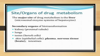 Drug metabolism | PPTX