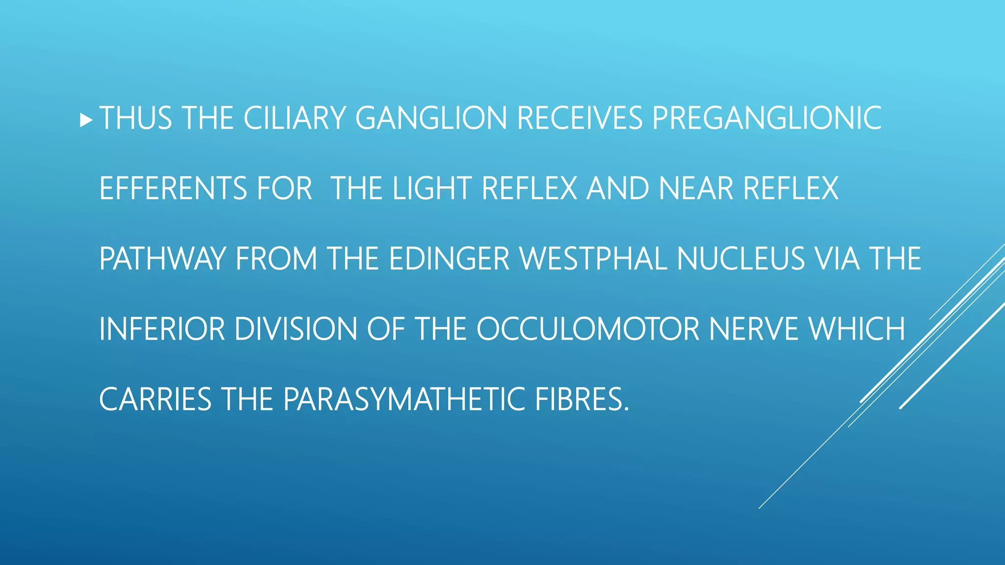 Ciliary ganglion | PPTX