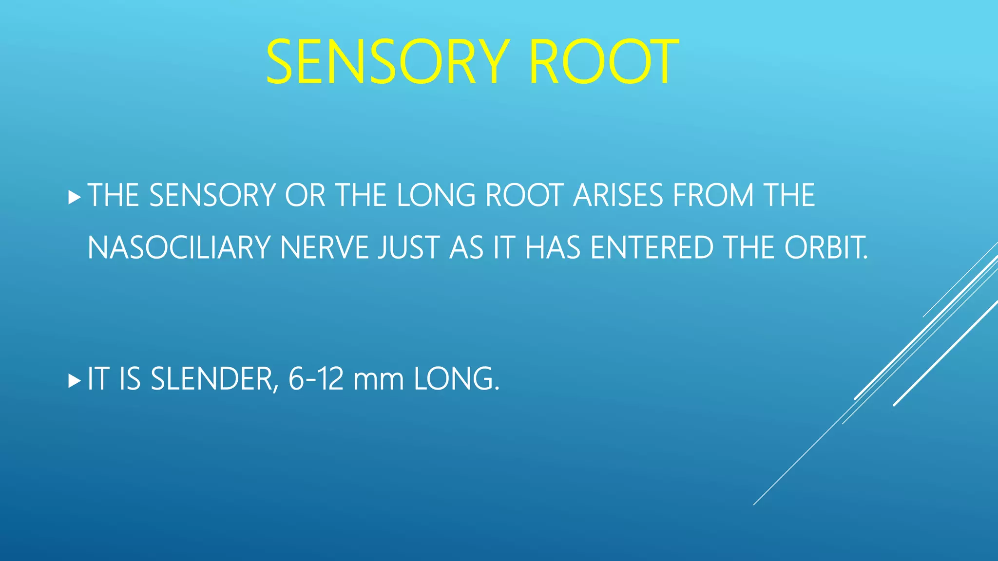 Ciliary ganglion | PPTX