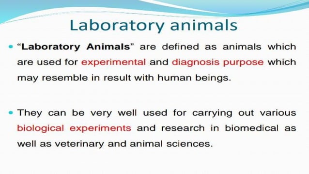 "Handling Laboratory Animals: Best Practices and Guidelines" | PPTX