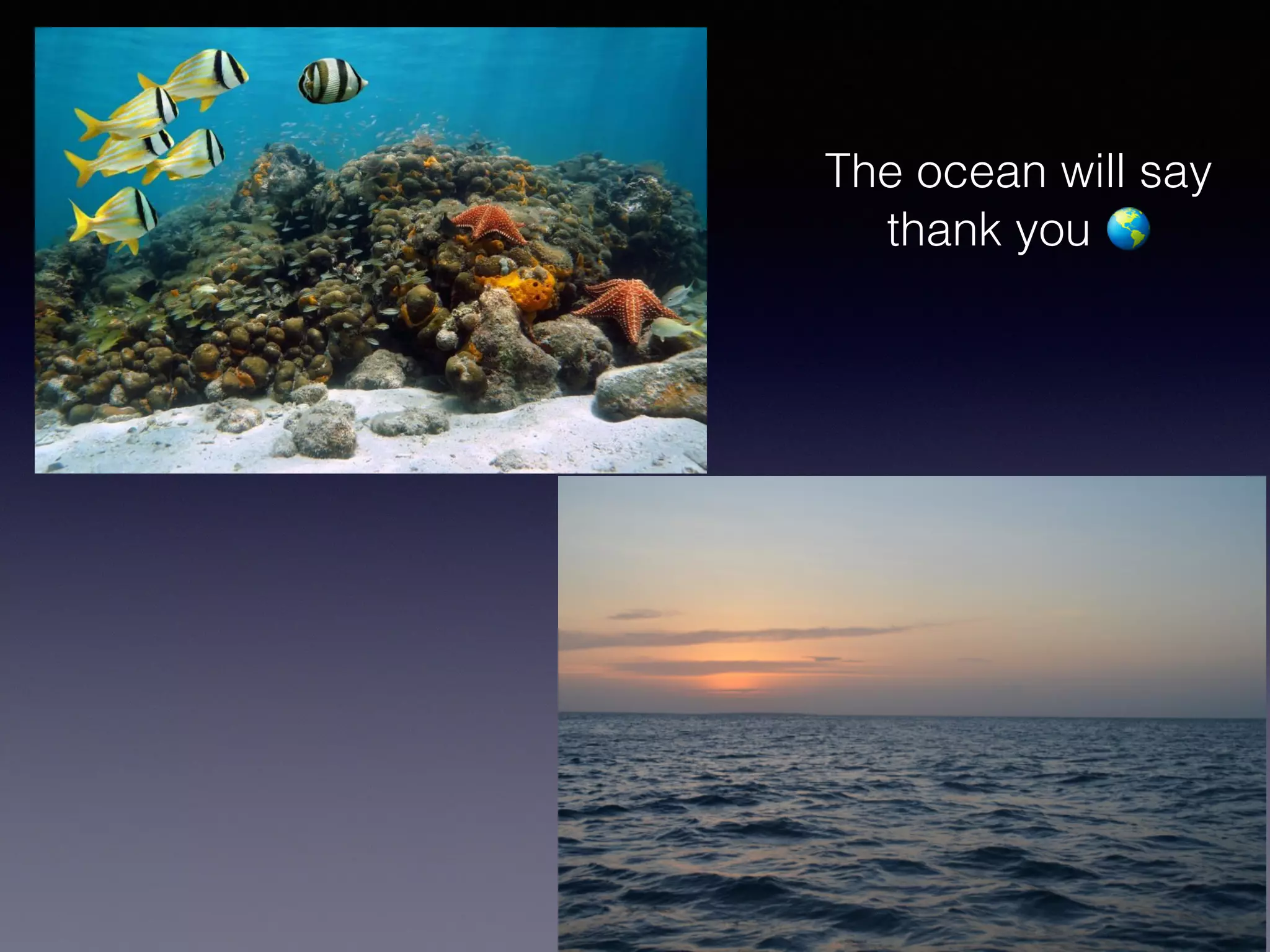 Clean Oceans by Ava | PPT
