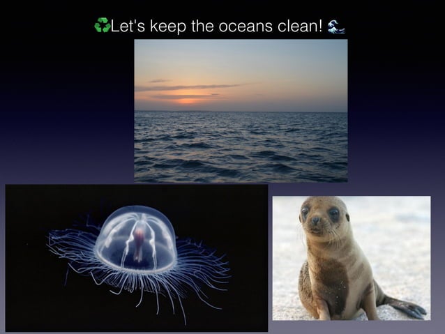 Clean Oceans by Ava | PPT
