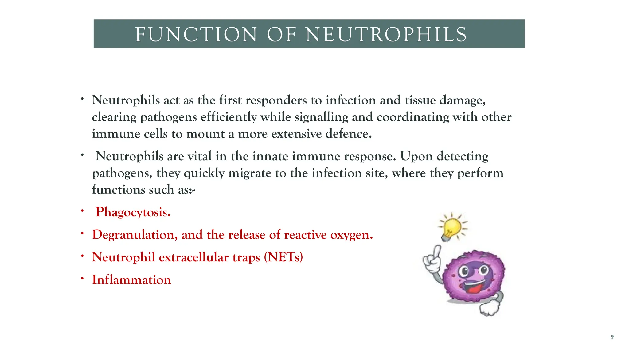 Neutrophils cell biology of immune system | PPTX