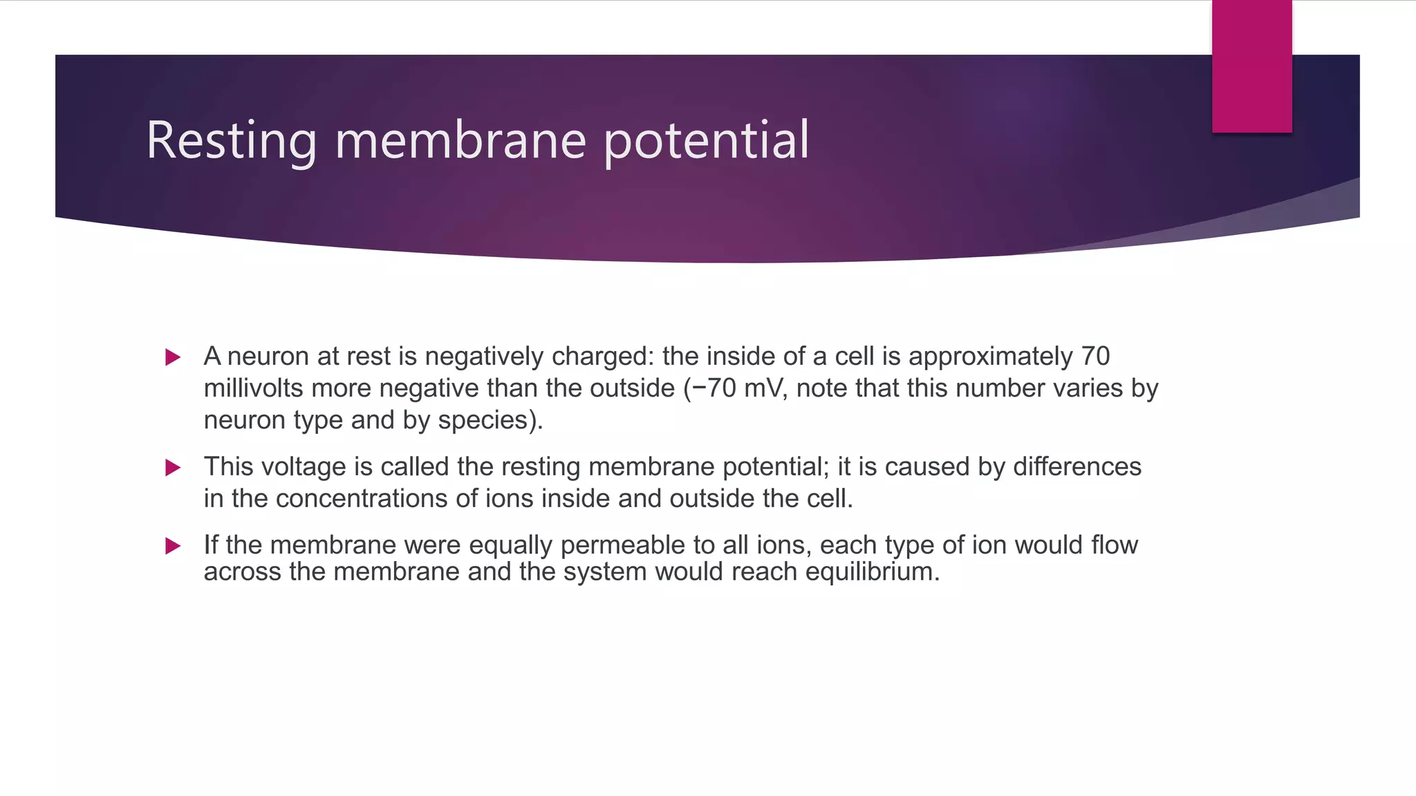 Presentation (26).pptx