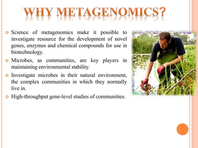 Metagenomics | PPTX | Biological Sciences | Science