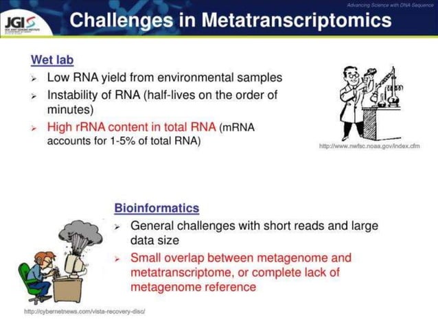 Metatranscriptomics | PPTX | Biological Sciences | Science