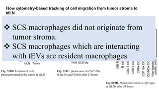 SCS macrophages suppress melanoma by restricting tumor-derived vesicle ...
