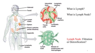 SCS macrophages suppress melanoma by restricting tumor-derived vesicle ...
